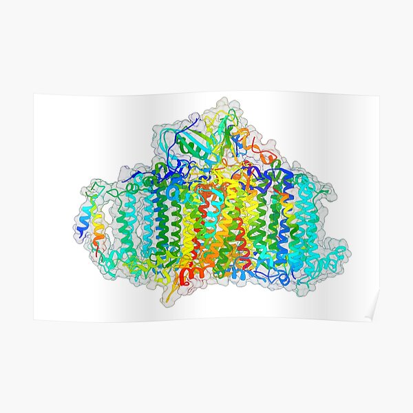 "Photosystem I" Poster for Sale by 3D-Biology | Redbubble