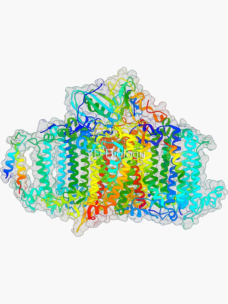 "Photosystem I" Sticker for Sale by 3D-Biology | Redbubble