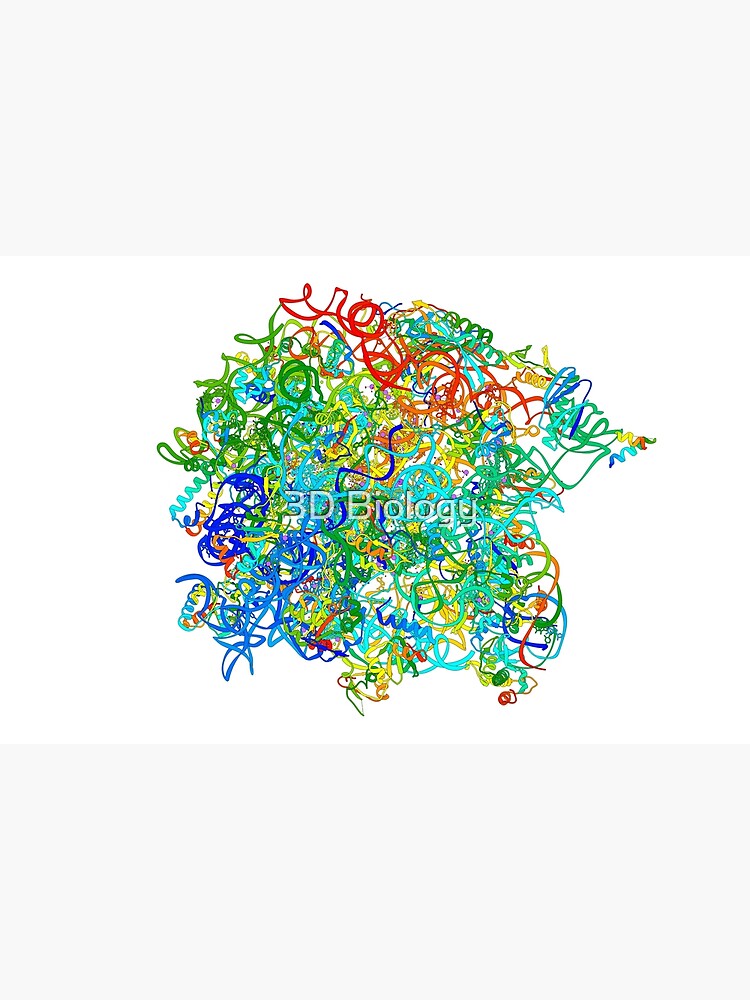 "Ribosome" Poster for Sale by 3D-Biology | Redbubble