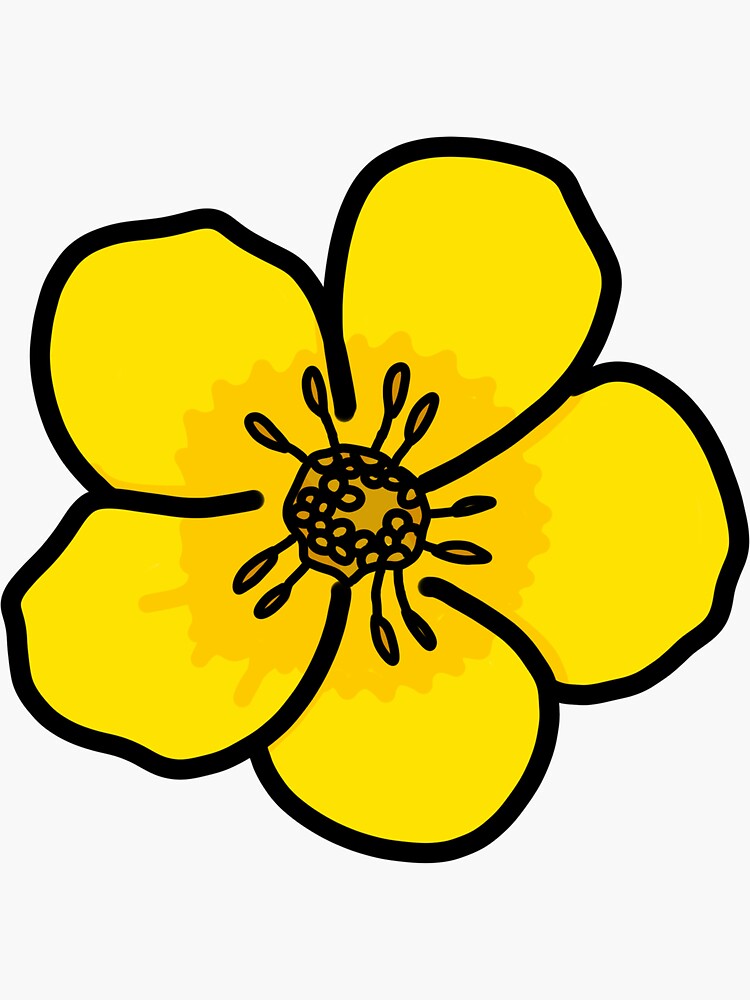 "Buttercup Flower" Sticker for Sale by Arsumran | Redbubble