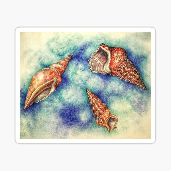 "Three shells are having a feast." Sticker for Sale by anneliesfineart ...