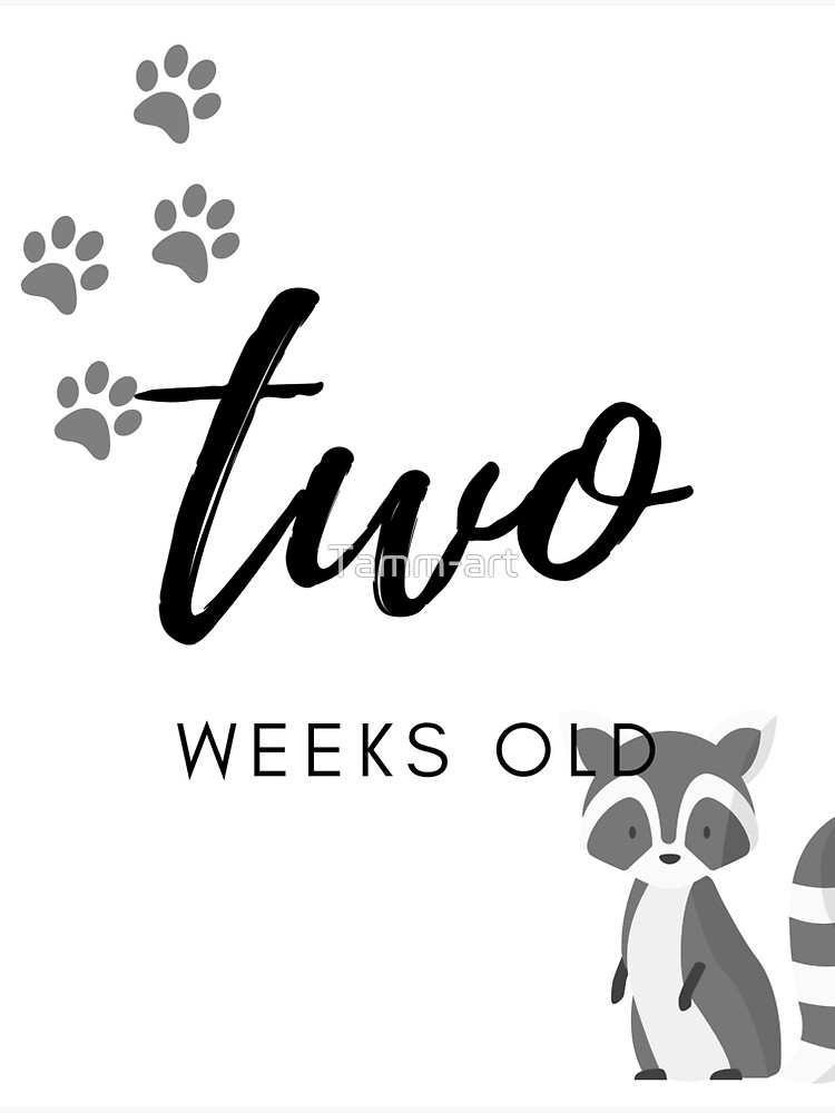 "Two weeks old baby milestones" Sticker for Sale by Tamm-art | Redbubble