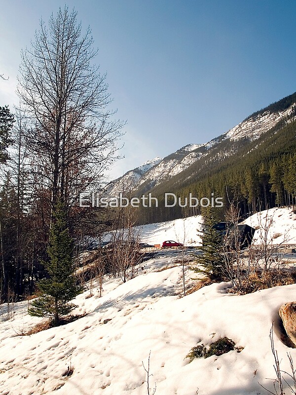 "A little bit of Banff series #2" by Elisabeth Dubois | Redbubble