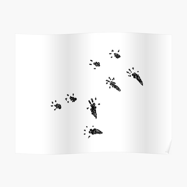 Rat Paw Wall Art | Redbubble