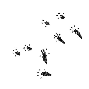 "Rat Prints" Sticker for Sale by TheAmberMoon | Redbubble