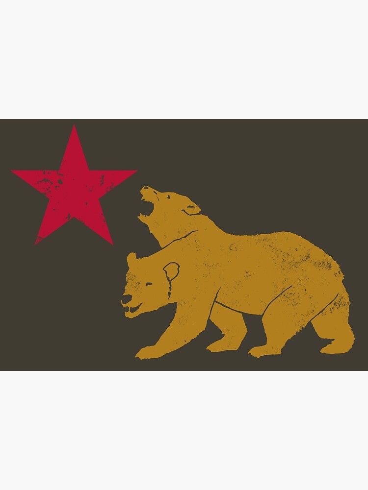 "NCR Bear" Poster for Sale by jasonraccoon | Redbubble