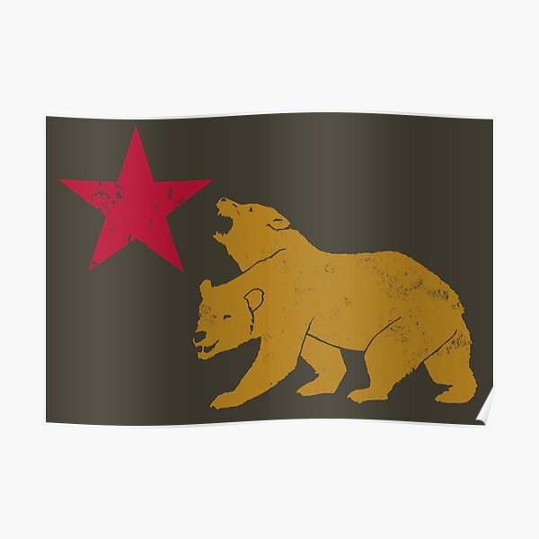 "NCR Bear" Poster for Sale by jasonraccoon | Redbubble
