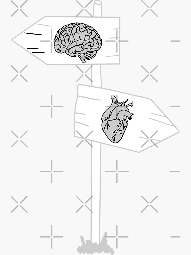 "Anatomy heart brain" Sticker by carries-anatomy | Redbubble