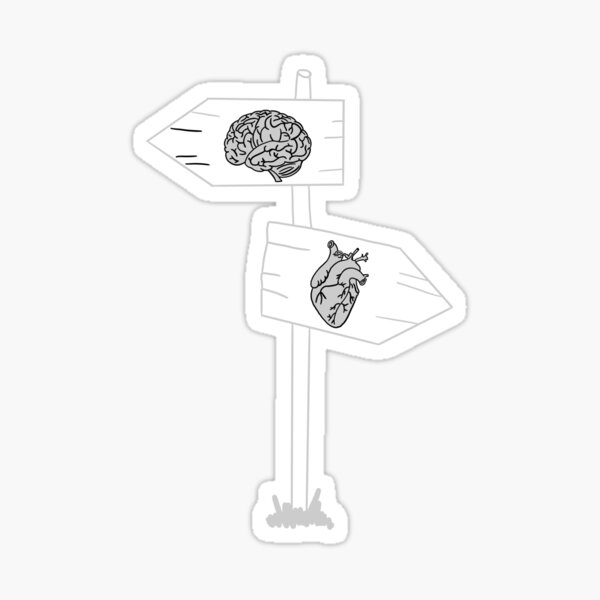 "Anatomy heart brain" Sticker by carries-anatomy | Redbubble