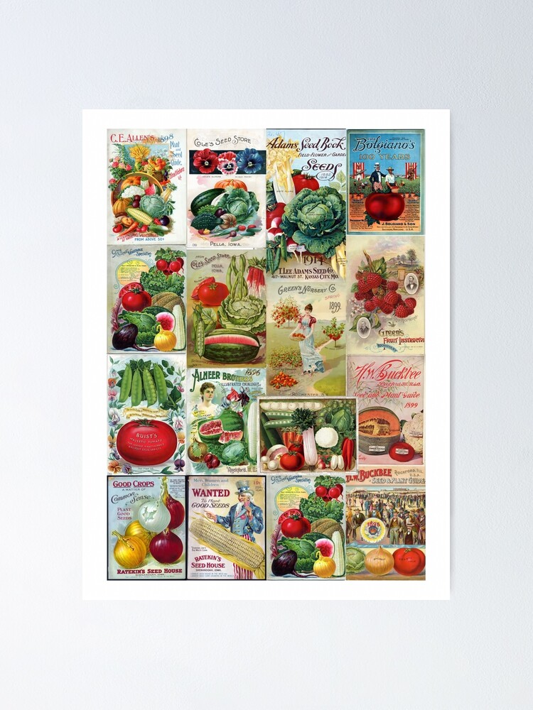 "Vintage Fruits and Veggies" Poster for Sale by Peggy Collins | Redbubble