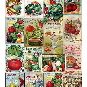 "Vintage Fruits and Veggies" Poster for Sale by Peggy Collins | Redbubble