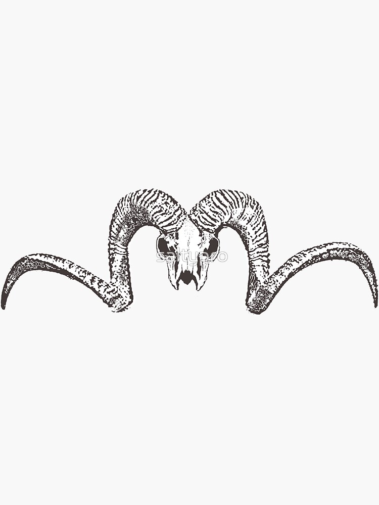 "Ram skull " Sticker by saltypro | Redbubble