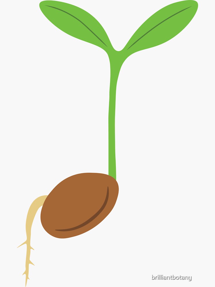 "Seedling Sticker" Sticker for Sale by brilliantbotany | Redbubble