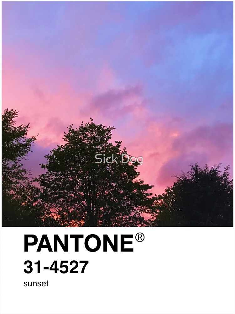 "Pantone Sunset" Sticker by Hananoshie | Redbubble