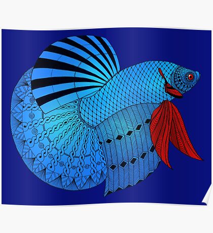 Betta Fish: Posters | Redbubble