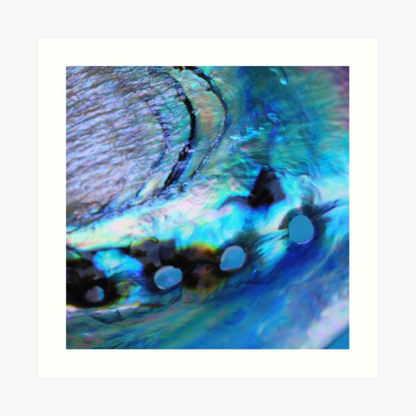 Paua Art Prints | Redbubble