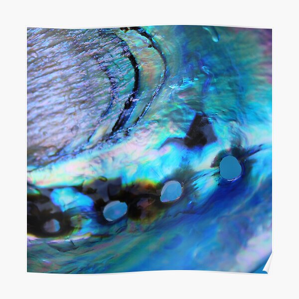 Paua Shell Wall Art | Redbubble