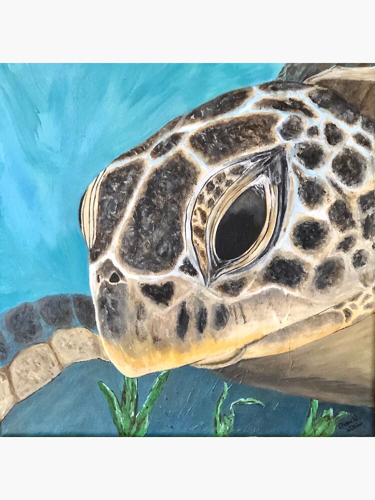"Sea Turtle Face" Art Print by DianeAWilkins | Redbubble