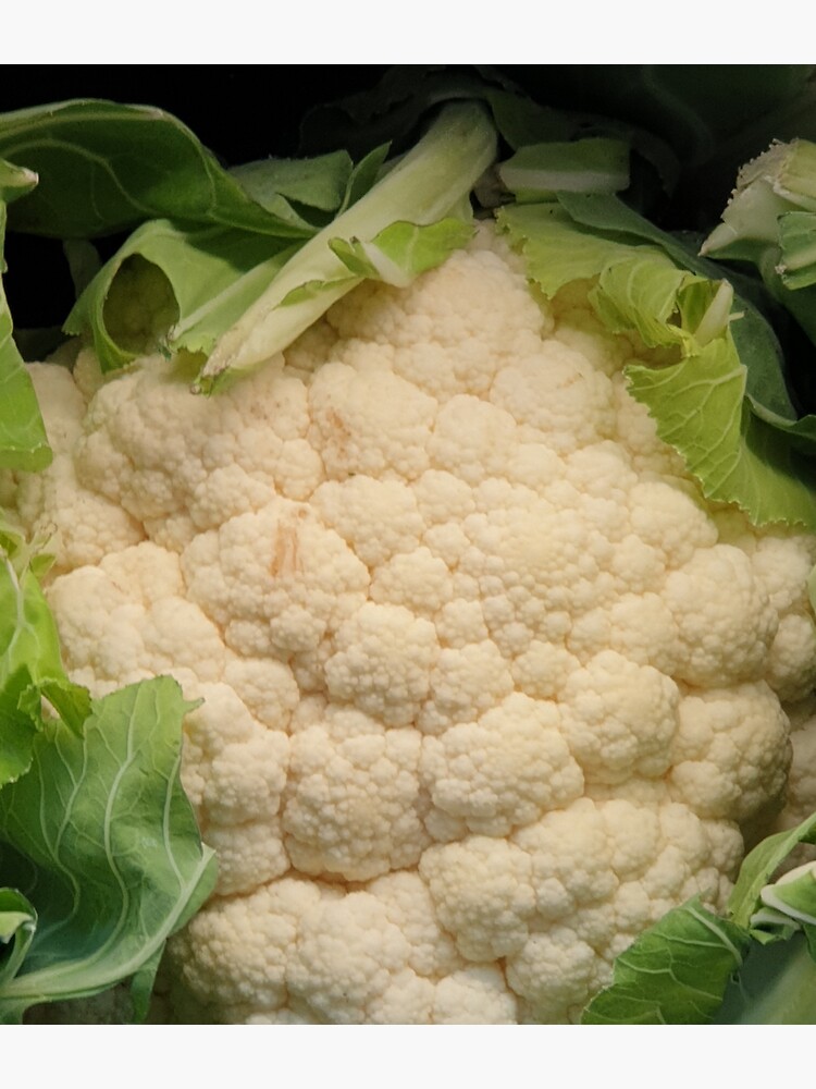 "Cauliflower" Sticker for Sale by mudassar1 | Redbubble