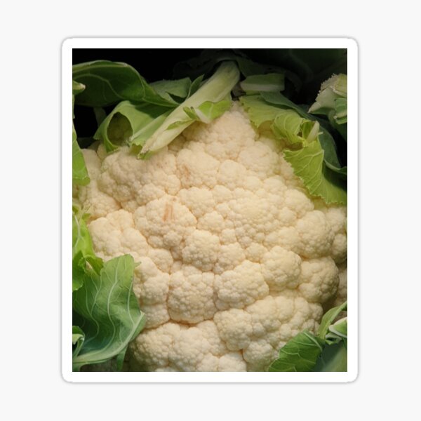 "Cauliflower" Sticker for Sale by mudassar1 | Redbubble