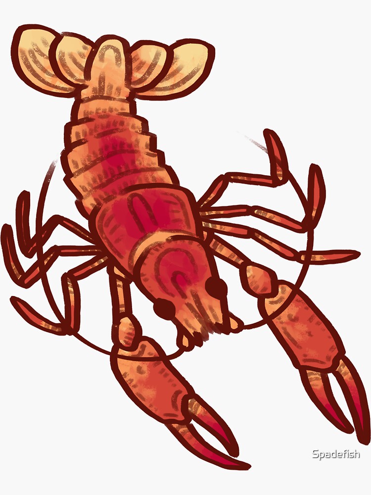 "Crayfish" Sticker by Spadefish | Redbubble