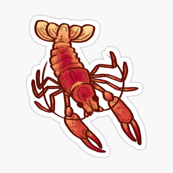 "Crayfish" Sticker by Spadefish | Redbubble