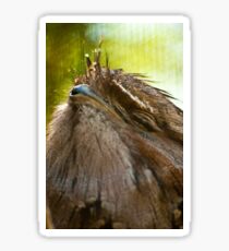 Owl City: Stickers | Redbubble