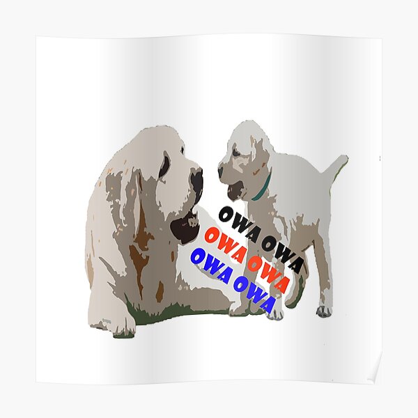 "can i get an owa owa " Poster by AZIZJACKI | Redbubble