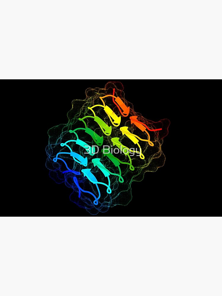 "Anti-Freeze Protein" Poster for Sale by 3D-Biology | Redbubble