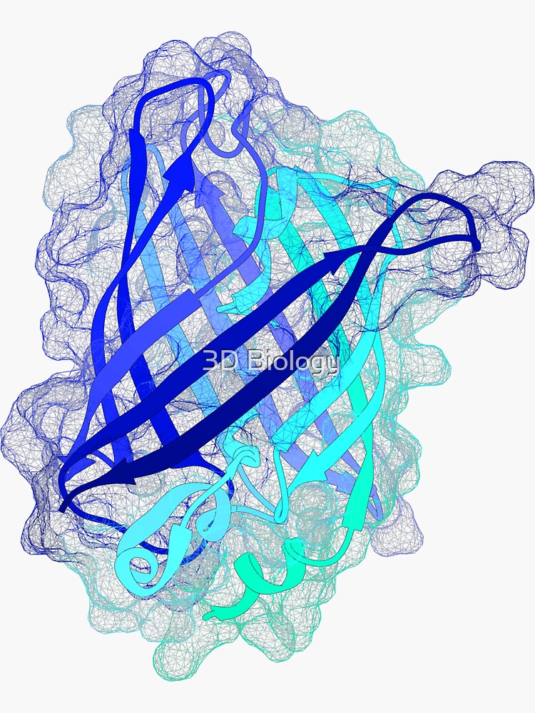 "Cerulean Fluorescent Protein" Sticker by 3D-Biology | Redbubble