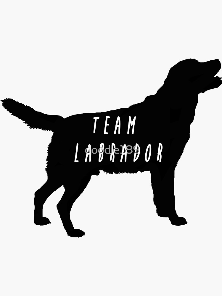 "Team Labrador" Sticker by doodle189 | Redbubble