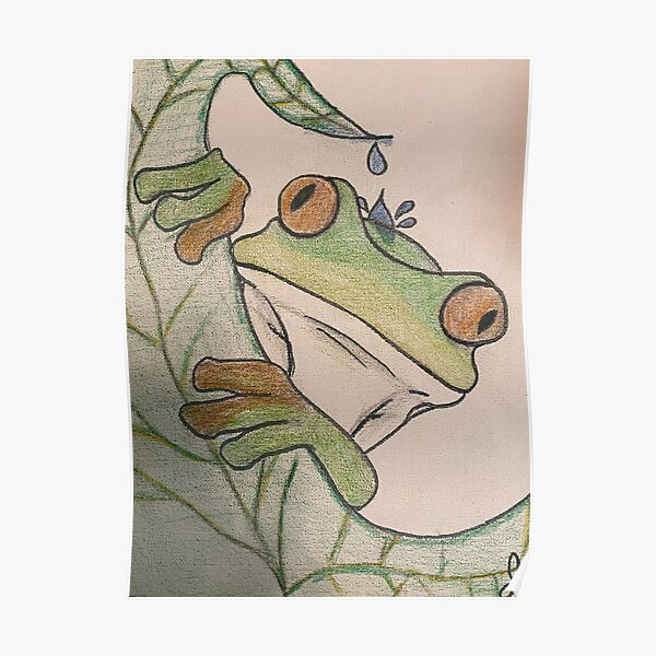 "Green tree frog" Poster by JeremyDusza | Redbubble