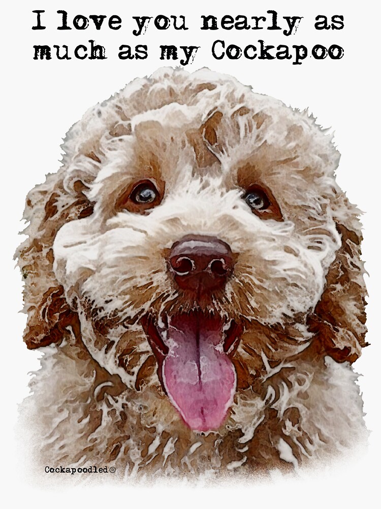 "Cockapoo Love" Sticker for Sale by cockapoodled | Redbubble