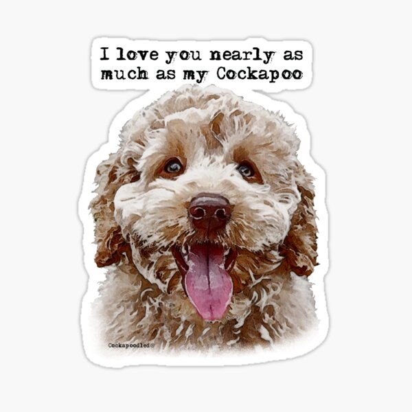 "Cockapoo Love" Sticker for Sale by cockapoodled | Redbubble
