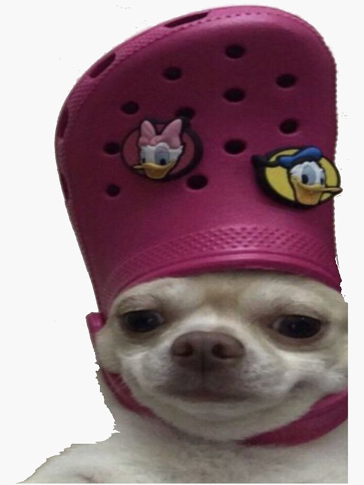 "croc dog" Sticker for Sale by avashideout | Redbubble