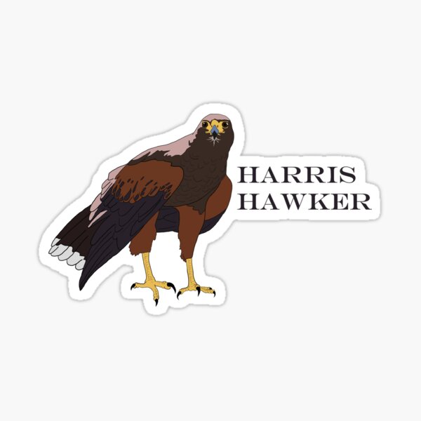 "Harris Hawker" Sticker for Sale by Jlouieasy | Redbubble
