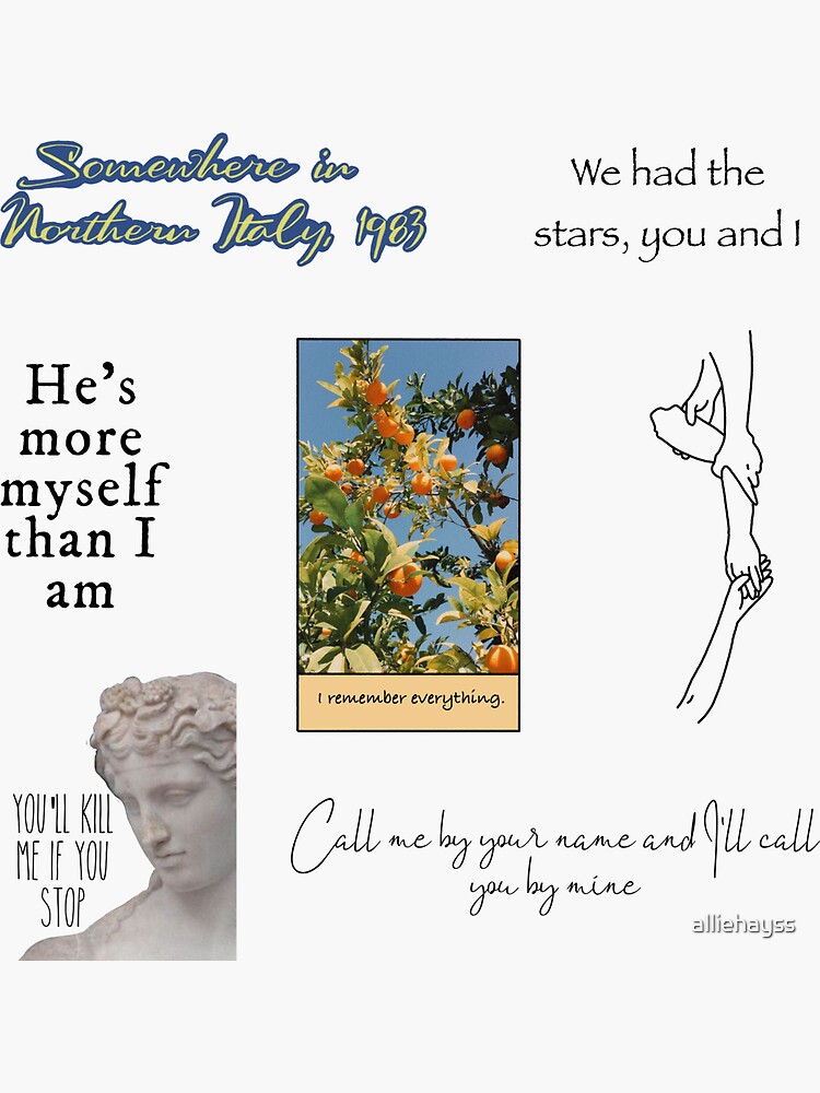 "CMBYN sticker pack" Sticker for Sale by alliehayss | Redbubble