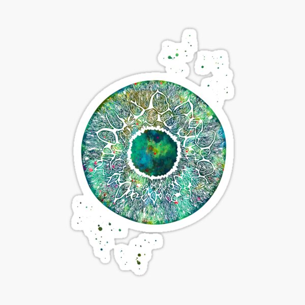 "Iris and Pupil of the Human Eye" Sticker for Sale by EvasDreams ...