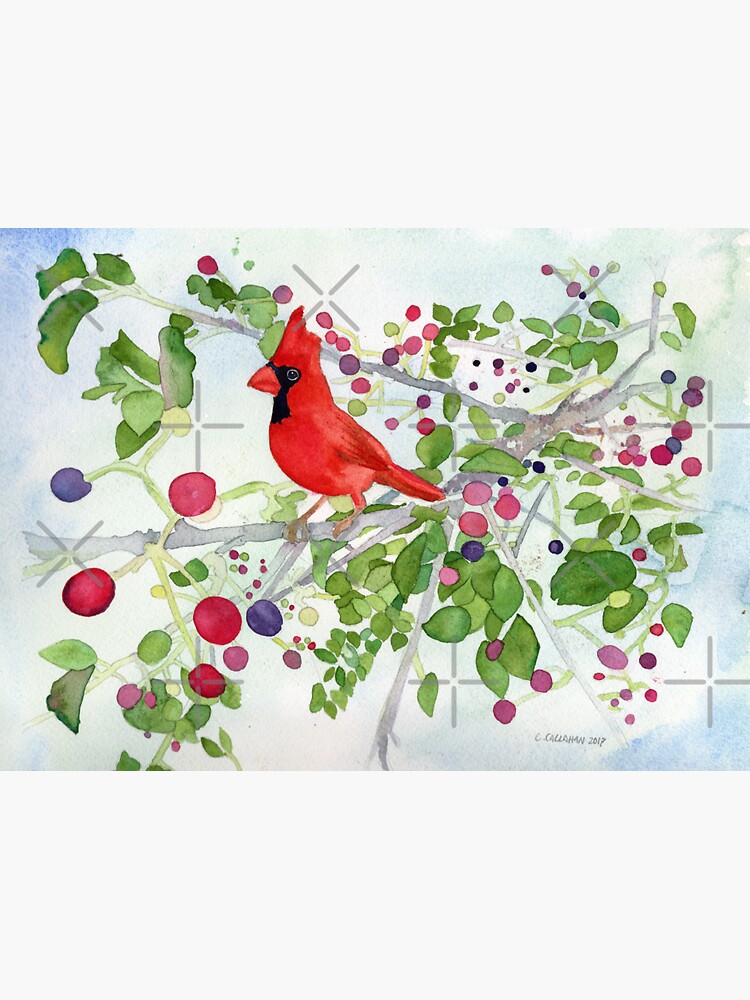 "Summer Cardinal" Sticker by MeadowView | Redbubble