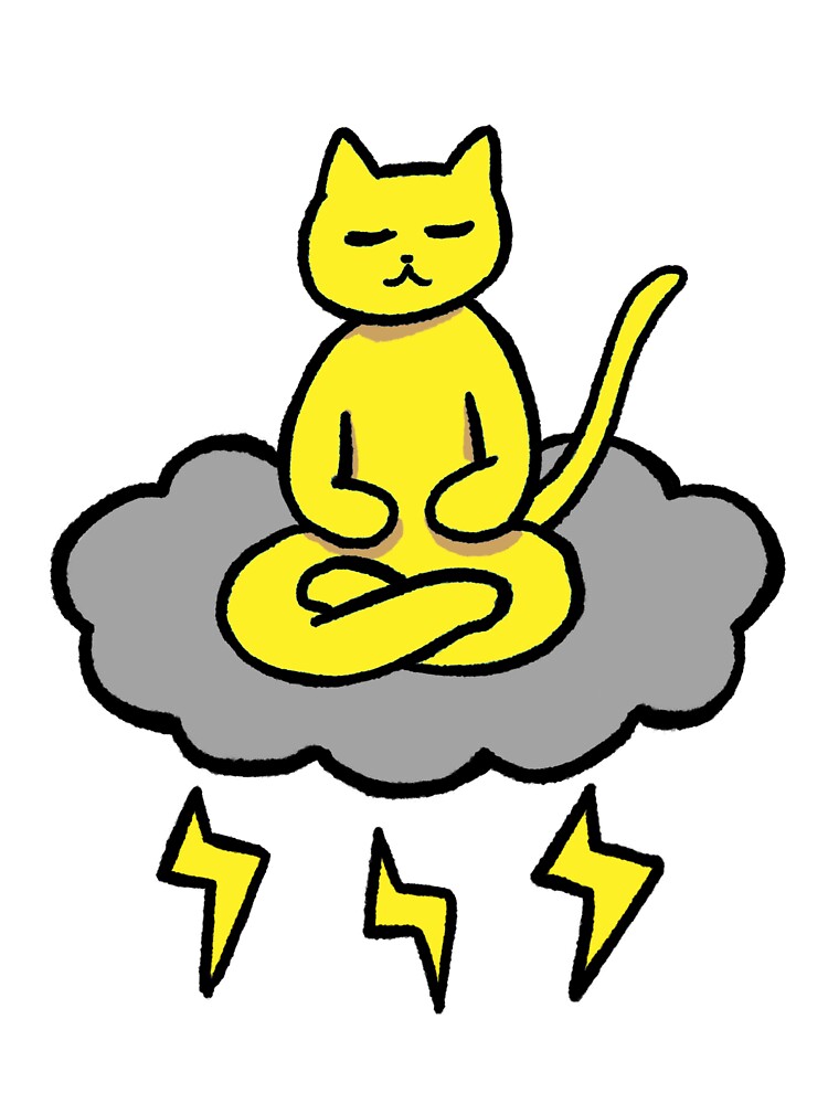"Lightning cat " Sticker for Sale by Janewon | Redbubble