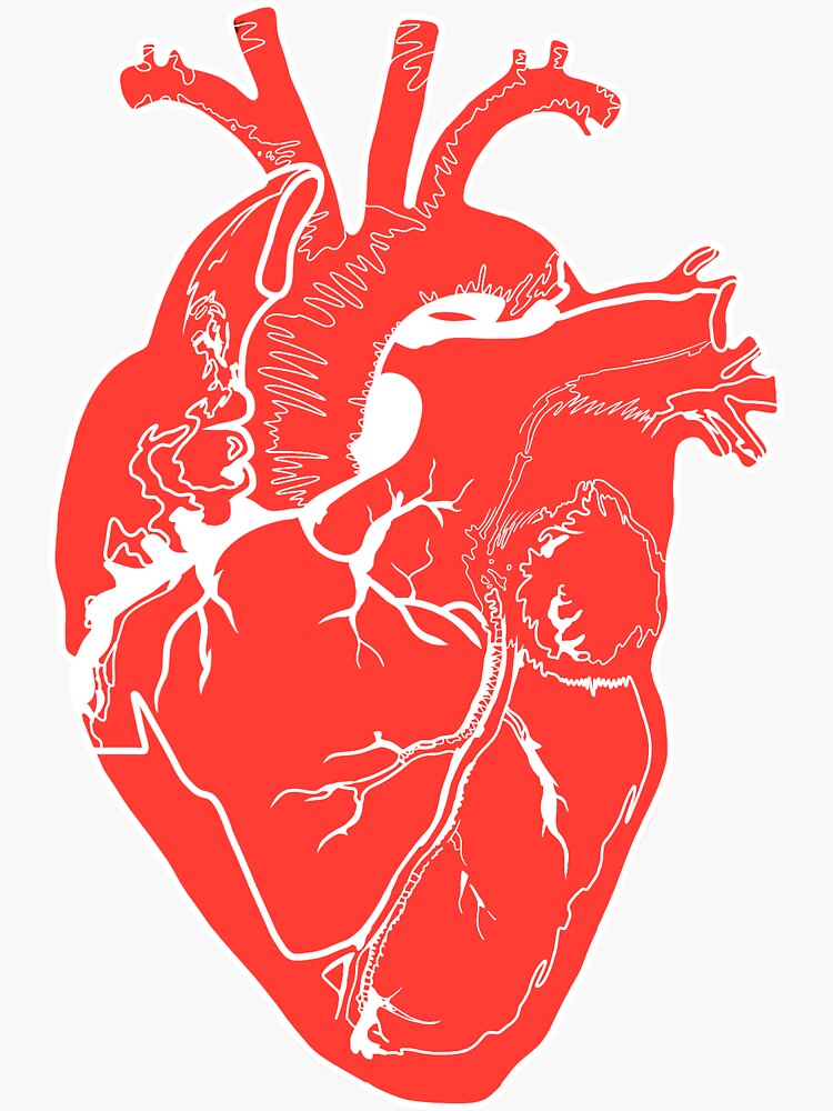"Real Heart" Sticker for Sale by Maxuo | Redbubble