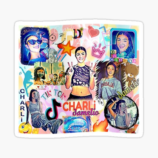 "Charli D'Amelio Art 1" Sticker for Sale by fantastaste | Redbubble