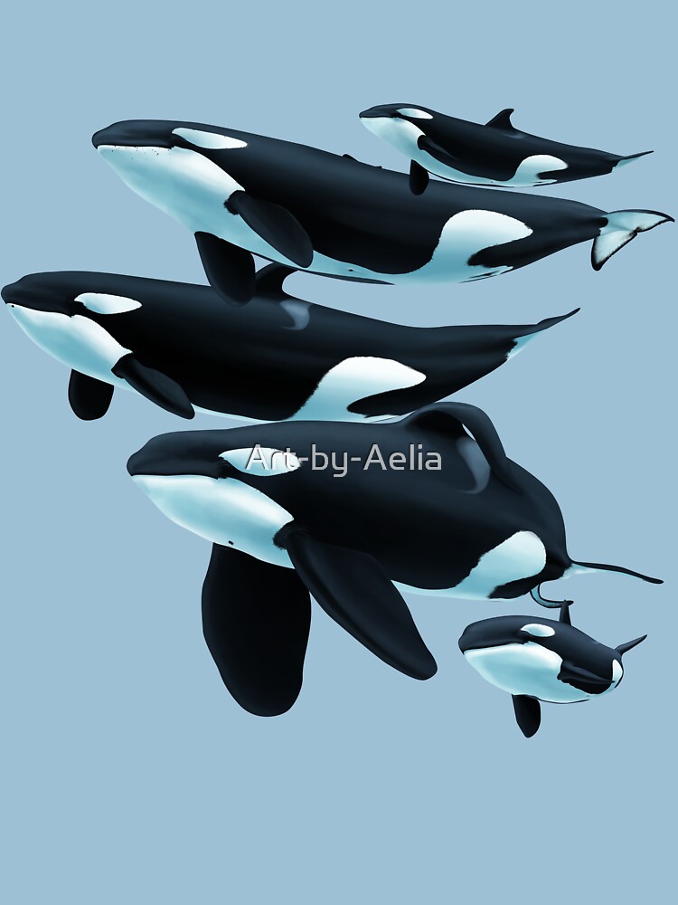 "Pod of Orcas" T-shirt for Sale by Art-by-Aelia | Redbubble | orca t ...
