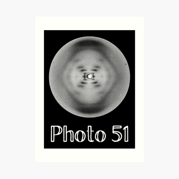 "Photo 51 X-ray diffraction of DNA by Rosalind Franklin, Raymond ...