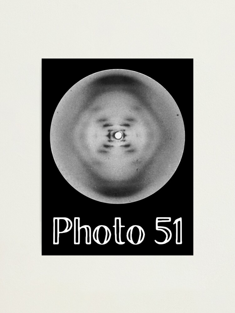 "Photo 51 X-ray diffraction of DNA by Rosalind Franklin, Raymond ...