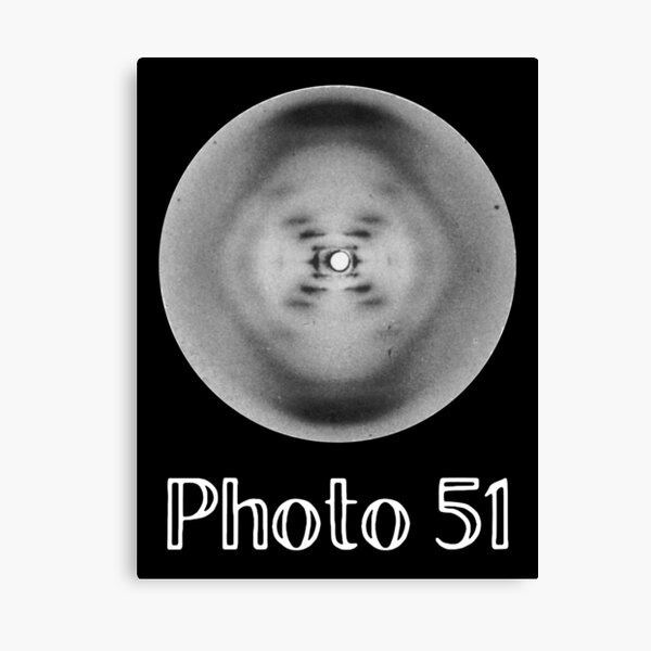 "Photo 51 X-ray diffraction of DNA by Rosalind Franklin, Raymond ...