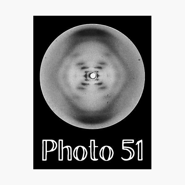 "Photo 51 X-ray diffraction of DNA by Rosalind Franklin, Raymond ...