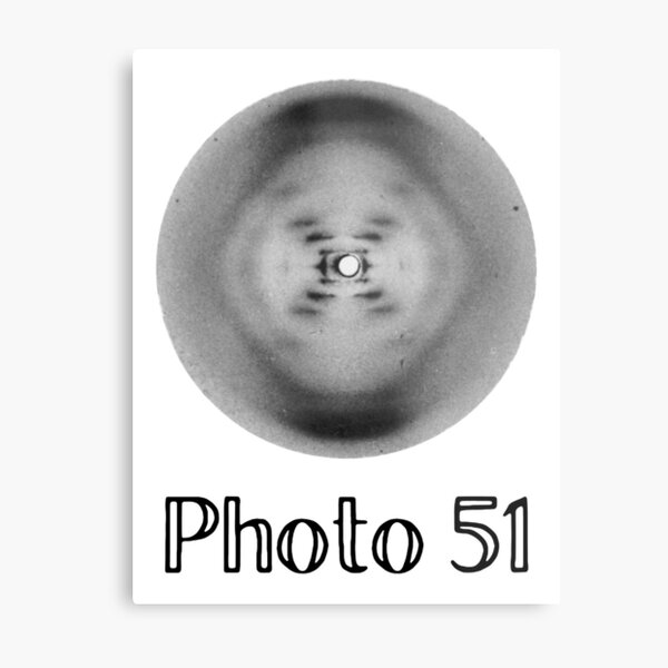 "Photo 51 X-ray diffraction of DNA by Rosalind Franklin, Raymond ...