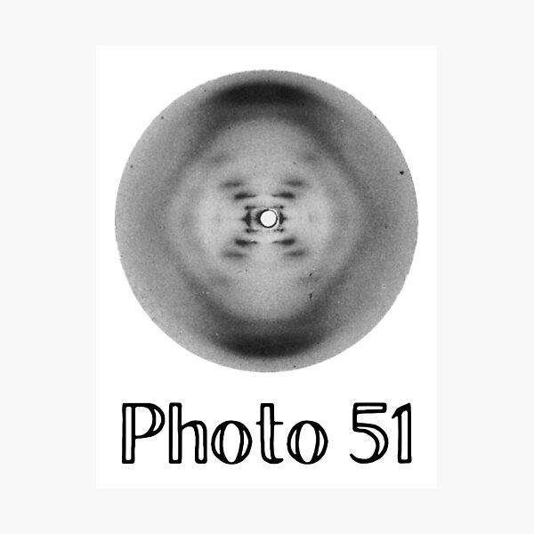 "Photo 51 X-ray diffraction of DNA by Rosalind Franklin, Raymond ...