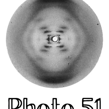 "Photo 51 X-ray diffraction of DNA by Rosalind Franklin, Raymond ...